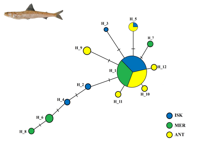 Tethys Environmental Sciences